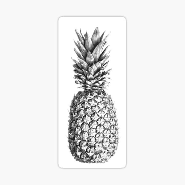 "Pineapple Drawing " Sticker for Sale by Printableshop7 | Redbubble