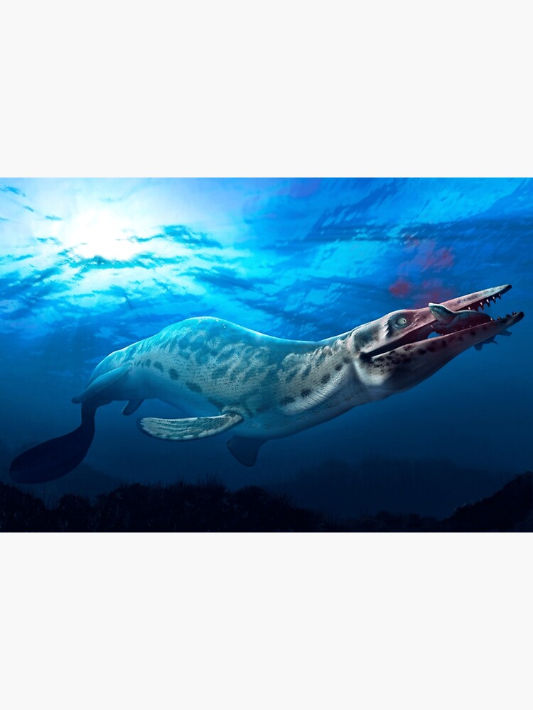 "Mosasaur With Prey Poster" Sticker for Sale by mcdunnburryv | Redbubble