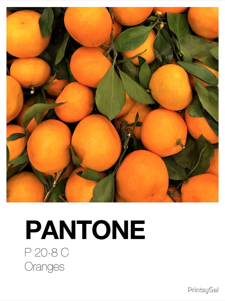 "Pantone color swatch oranges" Sticker for Sale by PrintsyGal | Redbubble