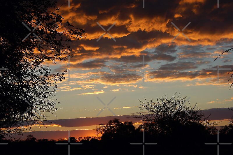 "TYPICAL "BUSHVELD" SUNSET" by Magriet Meintjes | Redbubble