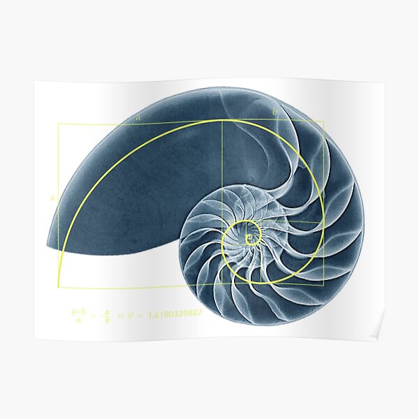 "Fibonacci Sequence" Poster for Sale by IReplicant | Redbubble