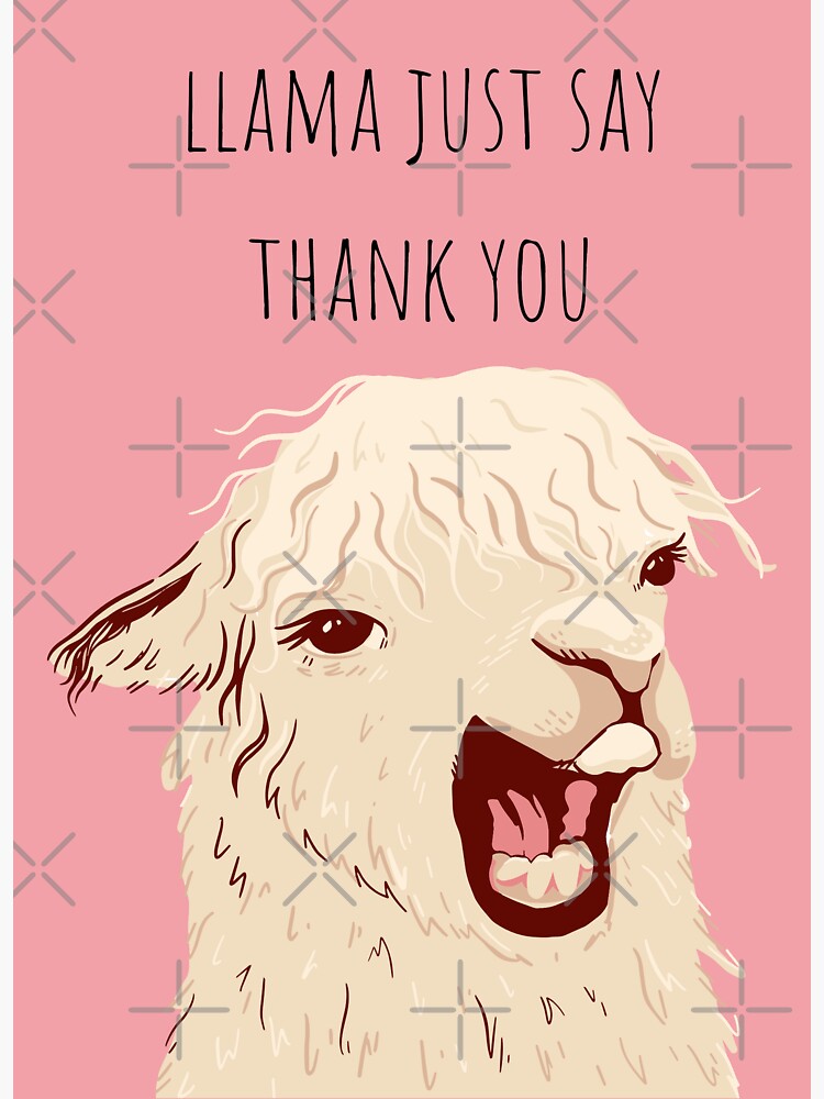 "Llama Just Say Thank You Greeting Card Thanks " Sticker for Sale by ...