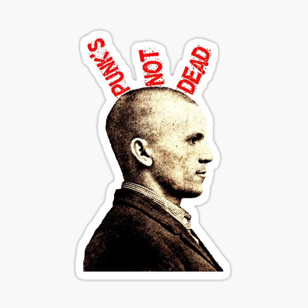 "Punk's not dead" Sticker for Sale by delfmeunier | Redbubble