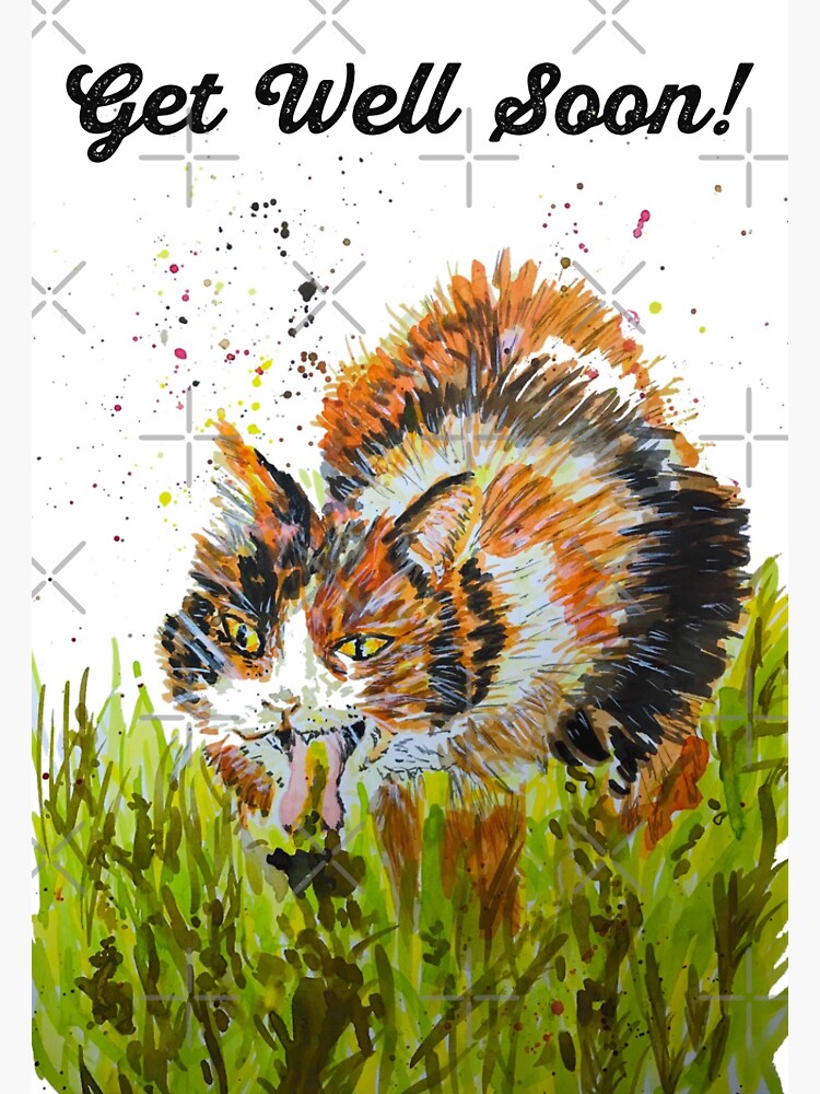 "Get Well Soon Cat" Sticker for Sale by bramblewood56 | Redbubble