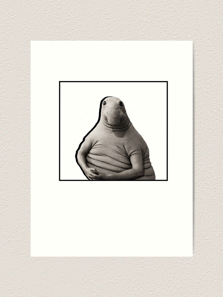 "Zhdun Snorp Aesthetic" Art Print by princesslexi | Redbubble