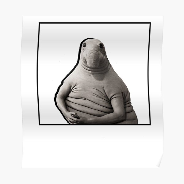 "Zhdun Snorp Ästhetik" Poster von princesslexi | Redbubble