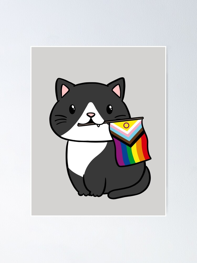 "Cat Progress Pride Flag, Cat Themed Pride Gift, Tuxedo Cat Progress ...