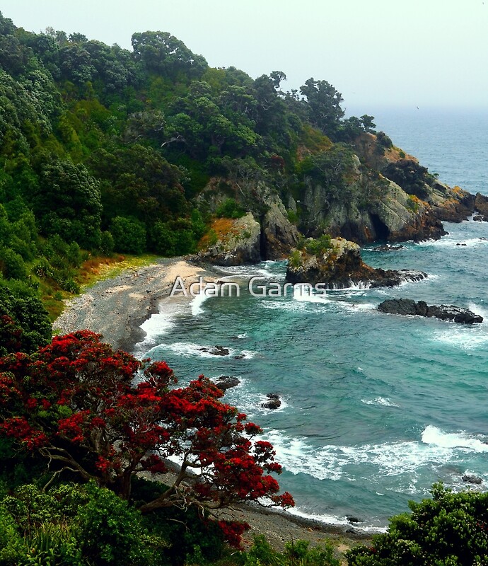 "Tiritiri Matangi" by Adam Garms | Redbubble