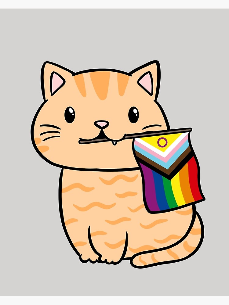 "Cat Progress Pride Flag, Cat Themed Pride Gift, Ginger tabby Cat ...