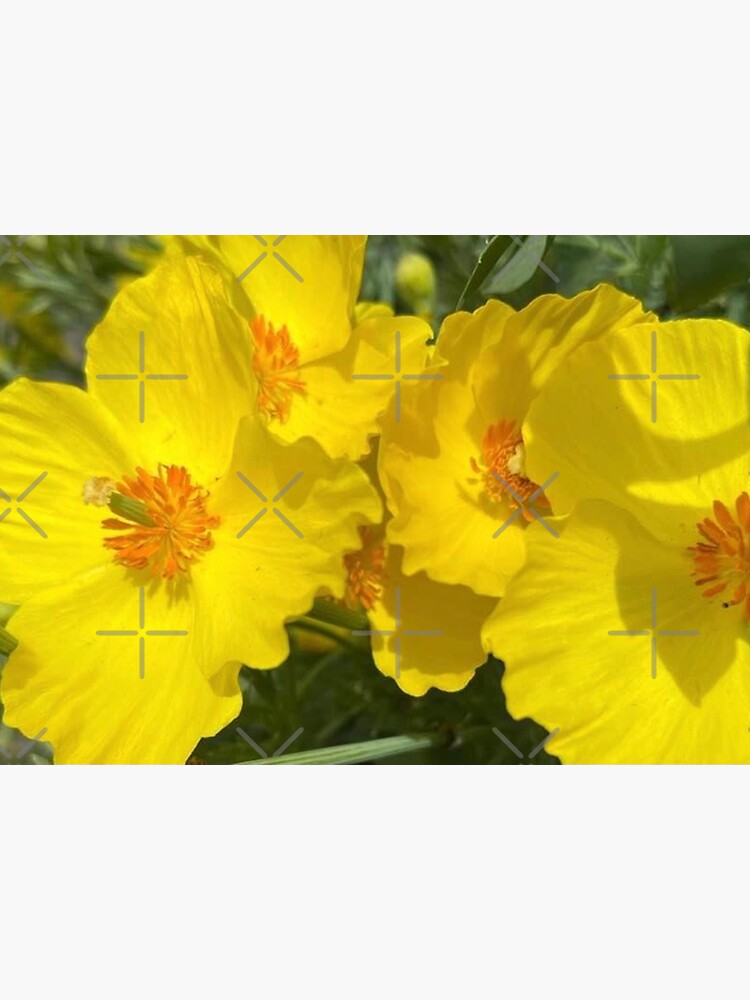 "Your Inner Sun is All the Light You Need" Sticker for Sale by ...