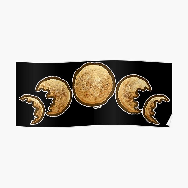 "Phases of the Cookie (Snickerdoodle)" Poster for Sale by JanGrackle ...