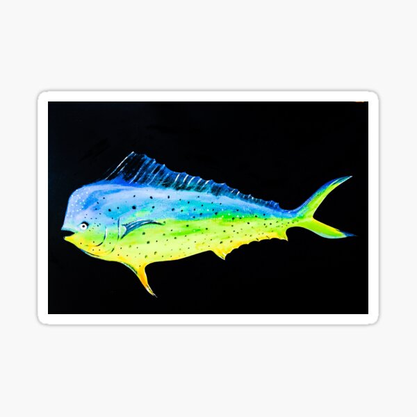 "Mahi mahi" Sticker by barryknauff | Redbubble