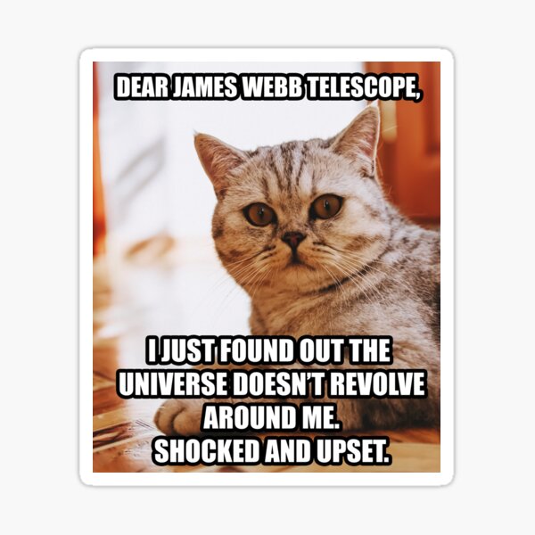 "Lieber James Webb Space Telescope, ich habe gerade herausgefunden ...