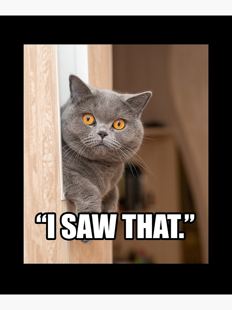 "I saw that - Cat Meme" Poster for Sale by Funny-Meme-Tee | Redbubble