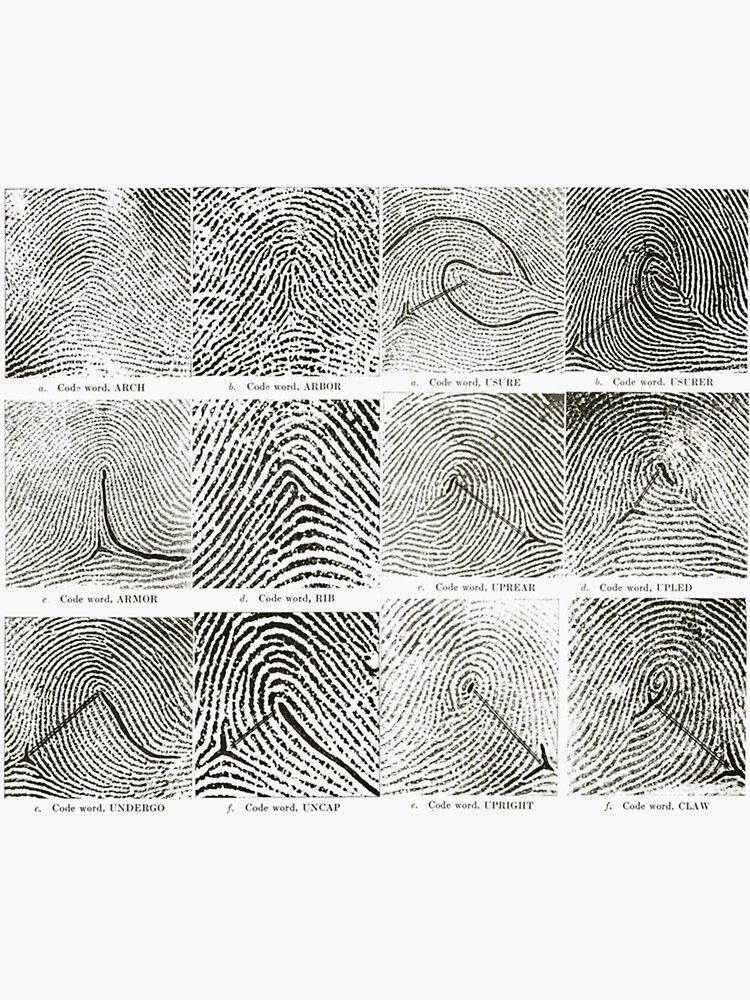 "Forensic Scientist police detective criminology Fingerprint" Sticker ...