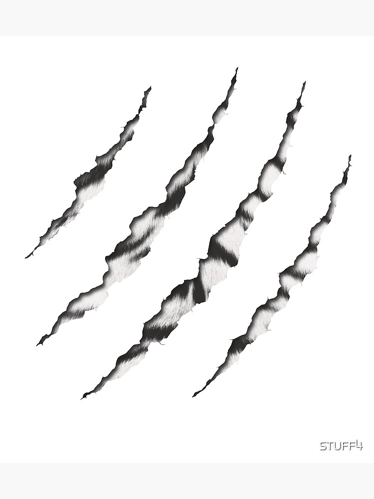 "White Tiger Claw Slash Fur" Art Print for Sale by STUFF4 | Redbubble