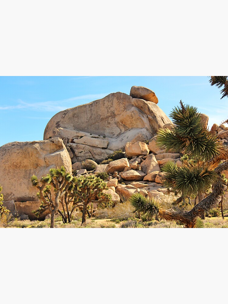 "Joshua Tree National Park" Sticker by ambaron | Redbubble
