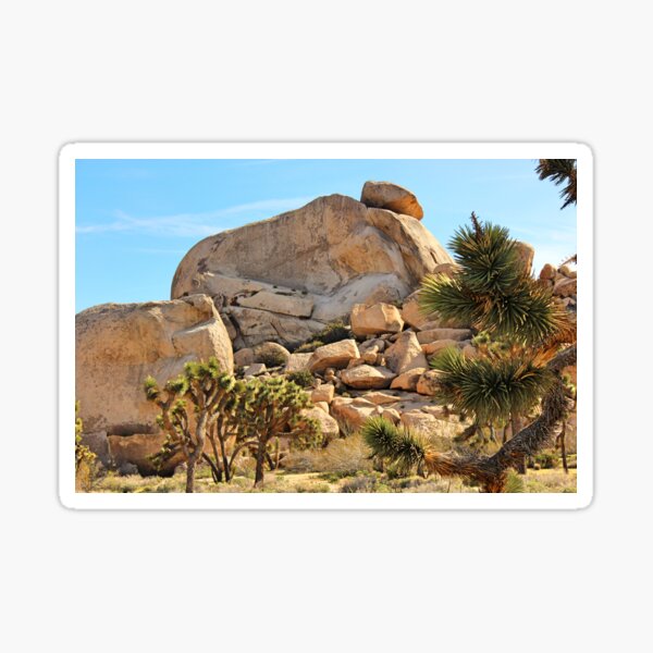 "Joshua Tree National Park" Sticker by ambaron | Redbubble