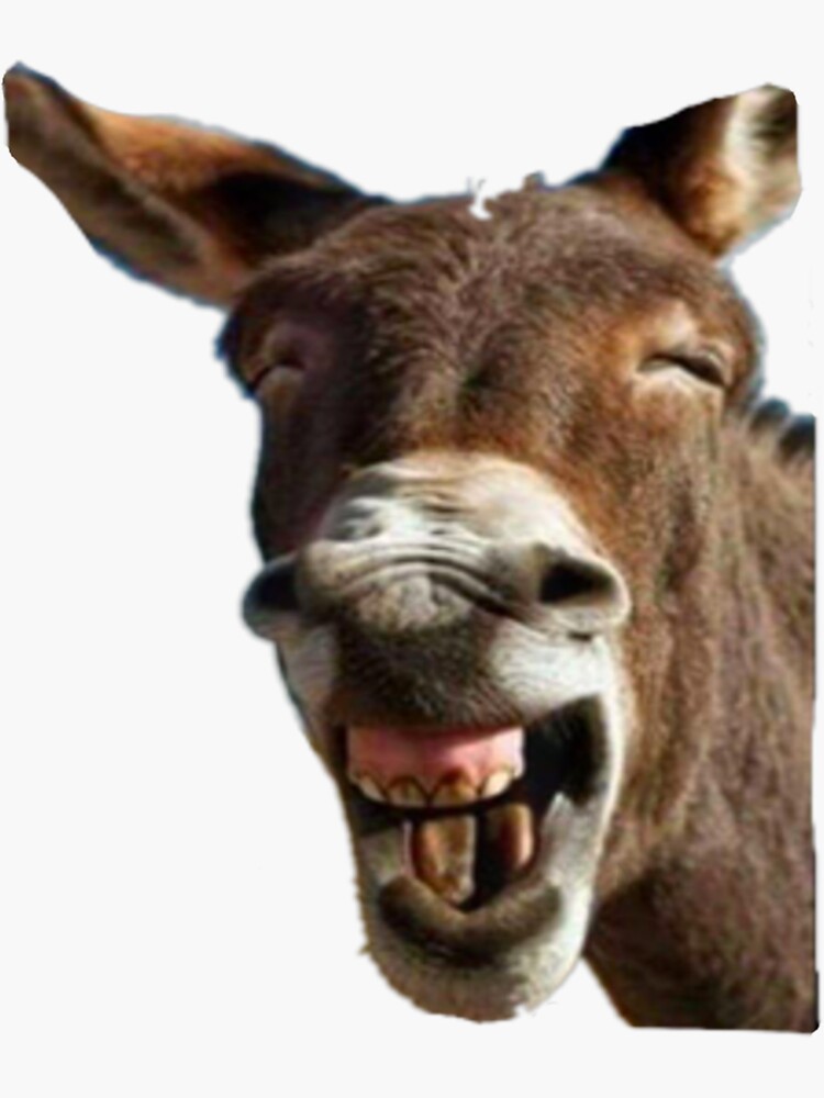 "Donkey Laughing" Sticker for Sale by AmaBatan | Redbubble