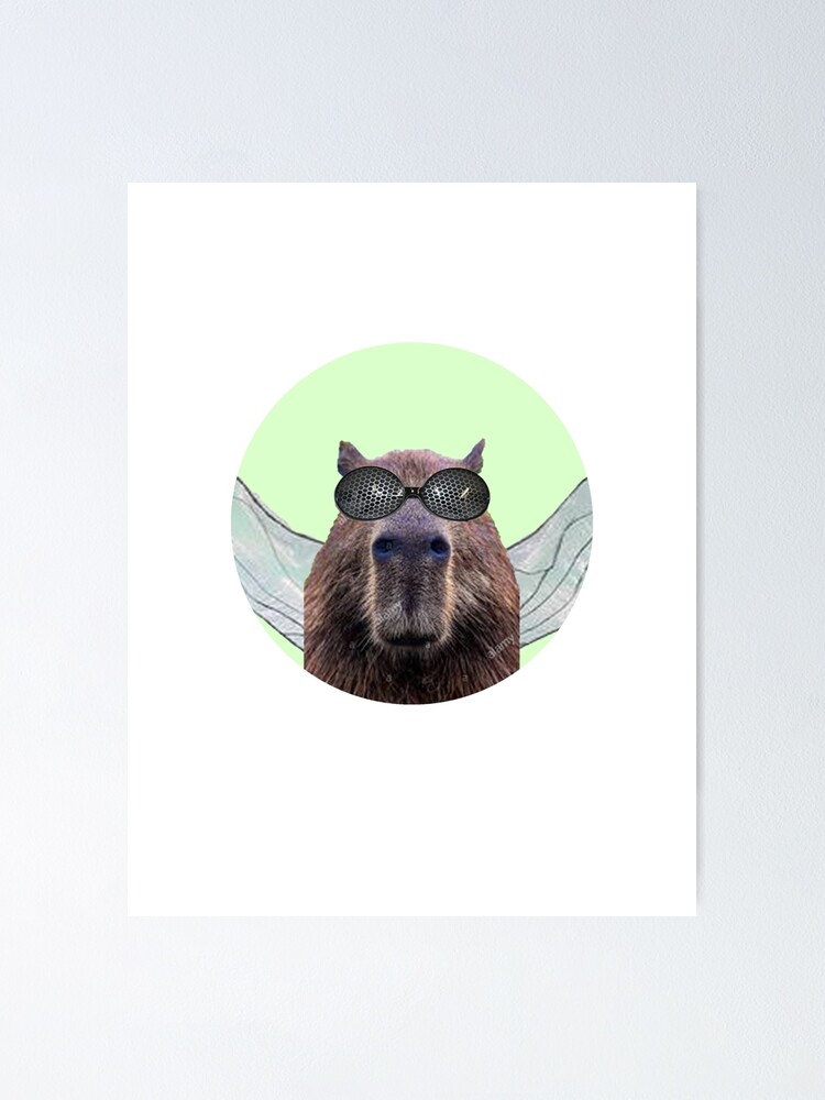 "Green Capybara Fly Sticker OK I pull up Funny Meme" Poster for Sale by ...