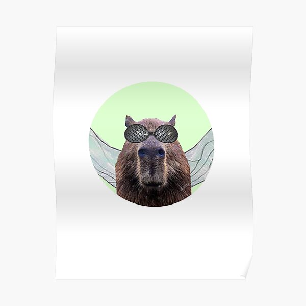 "Green Capybara Fly Sticker OK I pull up Funny Meme" Poster for Sale by ...