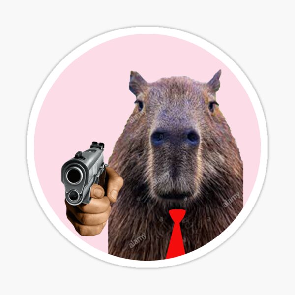 Pegatina «Pink Capybara Hitman Sticker OK, levanto Funny Meme» de ...