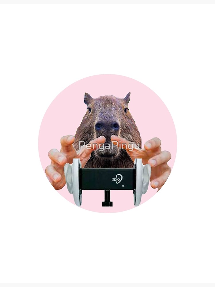 "Pink Capybara ASMR Sticker OK I pull up Funny Meme" Photographic Print ...