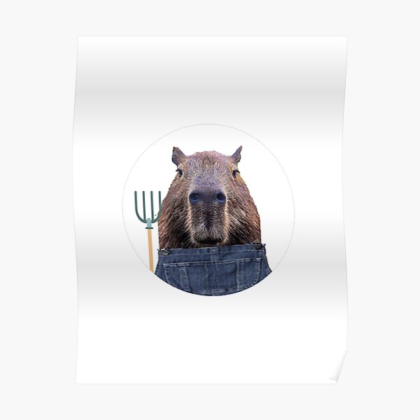 "Capybara Farmer Sticker OK I pull up Funny Meme" Poster for Sale by ...