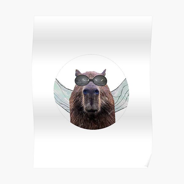 "Capybara Fly Sticker OK I pull up Funny Meme" Poster for Sale by ...