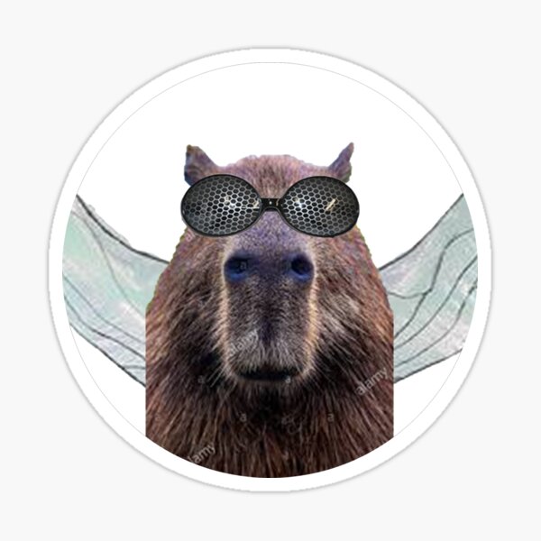 "Capybara Fly Sticker OK I pull up Funny Meme" Sticker for Sale by ...