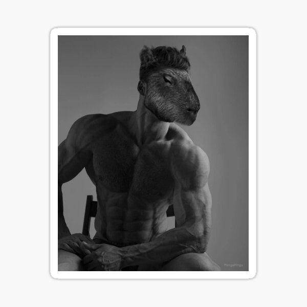 "Capybara OK I pull up Giga Chad Funny Meme Poster" Sticker for Sale by ...