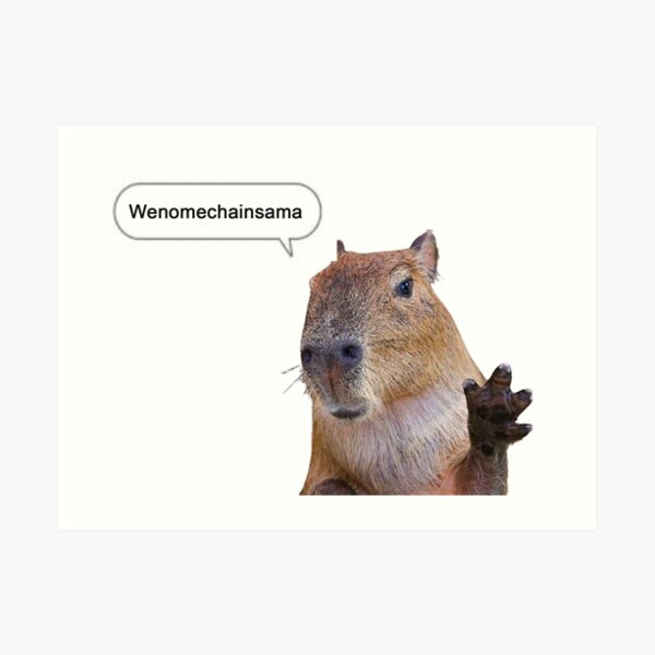 "Capybara OK I pull up Funny Meme Poster: wenomechainsama tumajarbisaun ...
