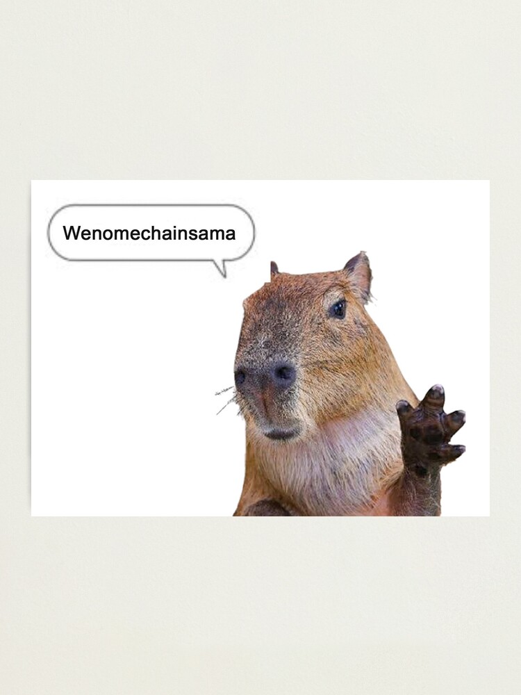 "Capybara OK I pull up Funny Meme Poster: wenomechainsama tumajarbisaun ...