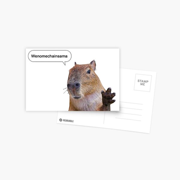 "Capybara OK I pull up Funny Meme Poster: wenomechainsama tumajarbisaun ...
