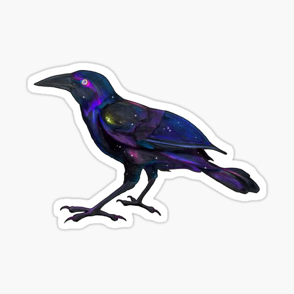 "Galaxy Grackle" Sticker by FishWithATopHat | Redbubble