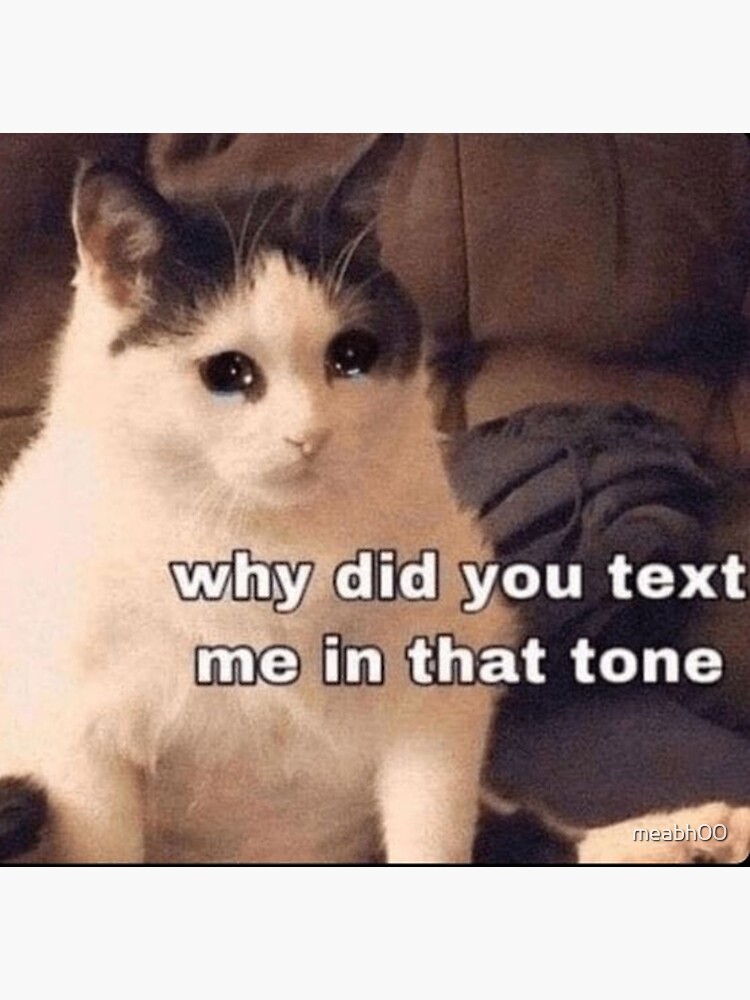 "Why did you text me in that tone cat " Sticker for Sale by meabh00 ...