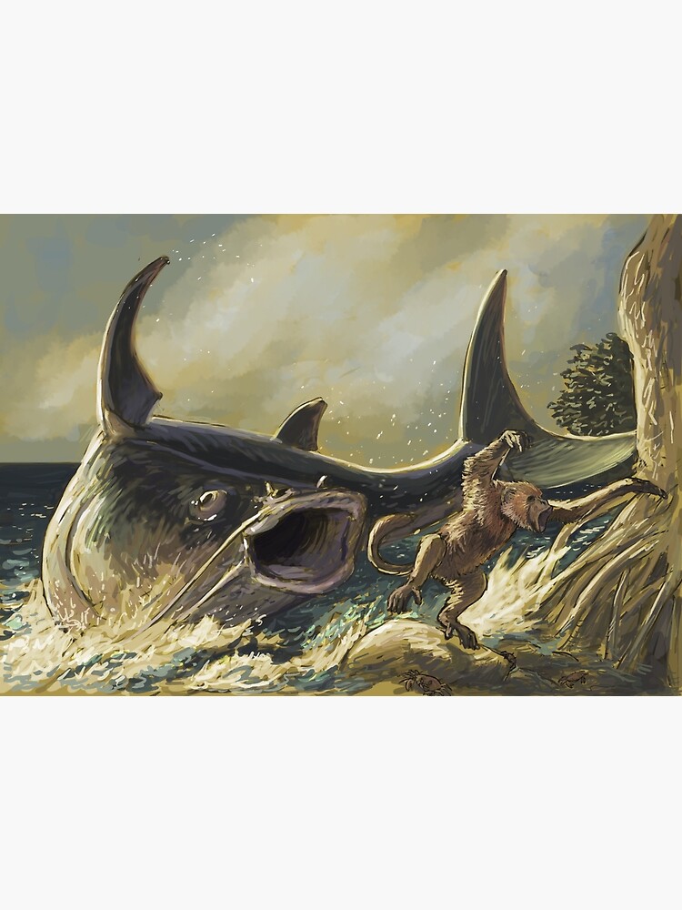 Some species that have never been suggested New species! - Page 22 ...