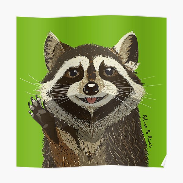 "Smiley Face Raccoon" Poster for Sale by PolinaPo | Redbubble