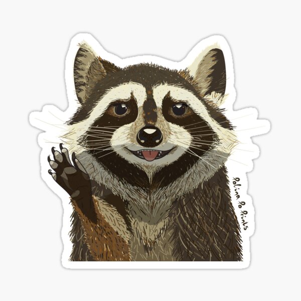 "Smiley Face Raccoon" Sticker for Sale by PolinaPo | Redbubble