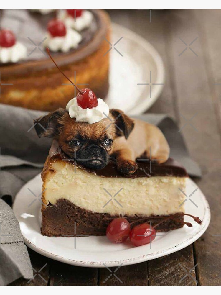 "Brussels Griffon" Sticker for Sale by toppopin | Redbubble