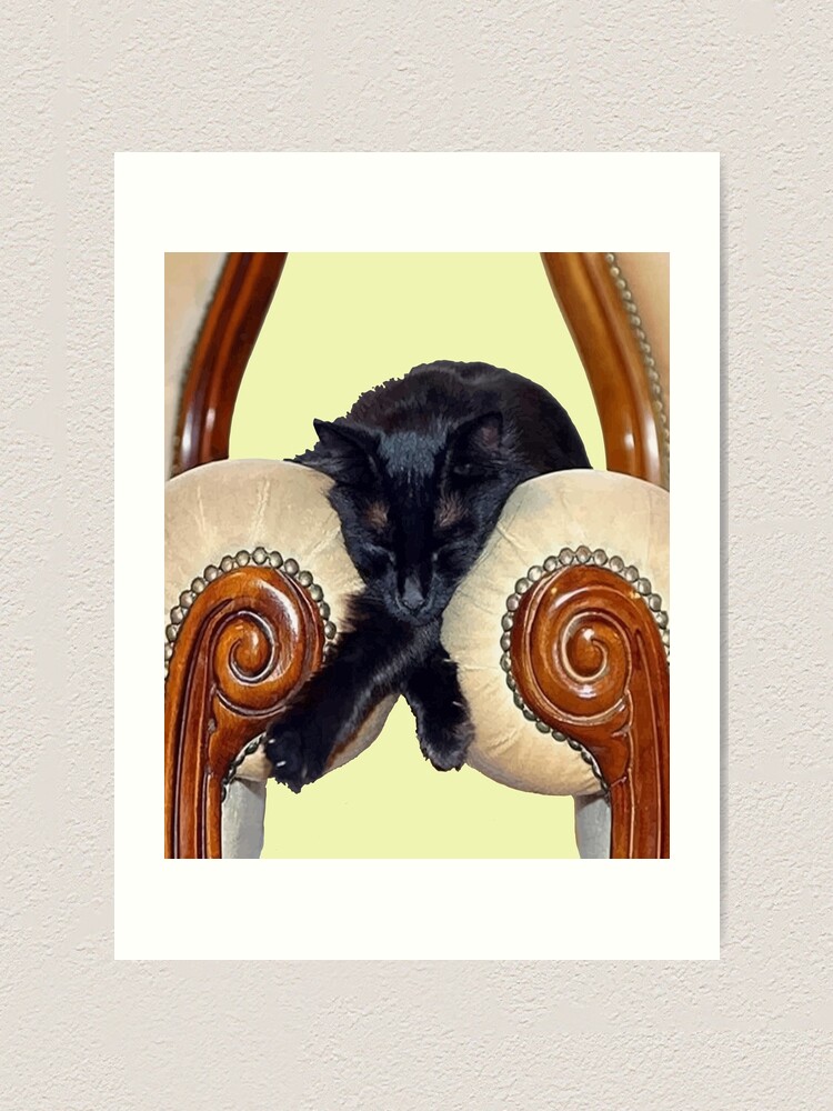 "Black Cat Slouched Between Two Chairs Legs Crossed" Art Print for Sale ...