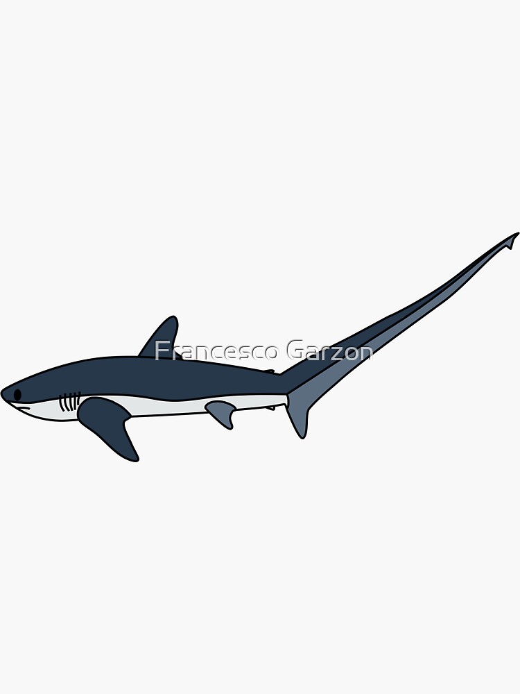 "Thresher shark icon" Sticker for Sale by Francesco Garzon | Redbubble