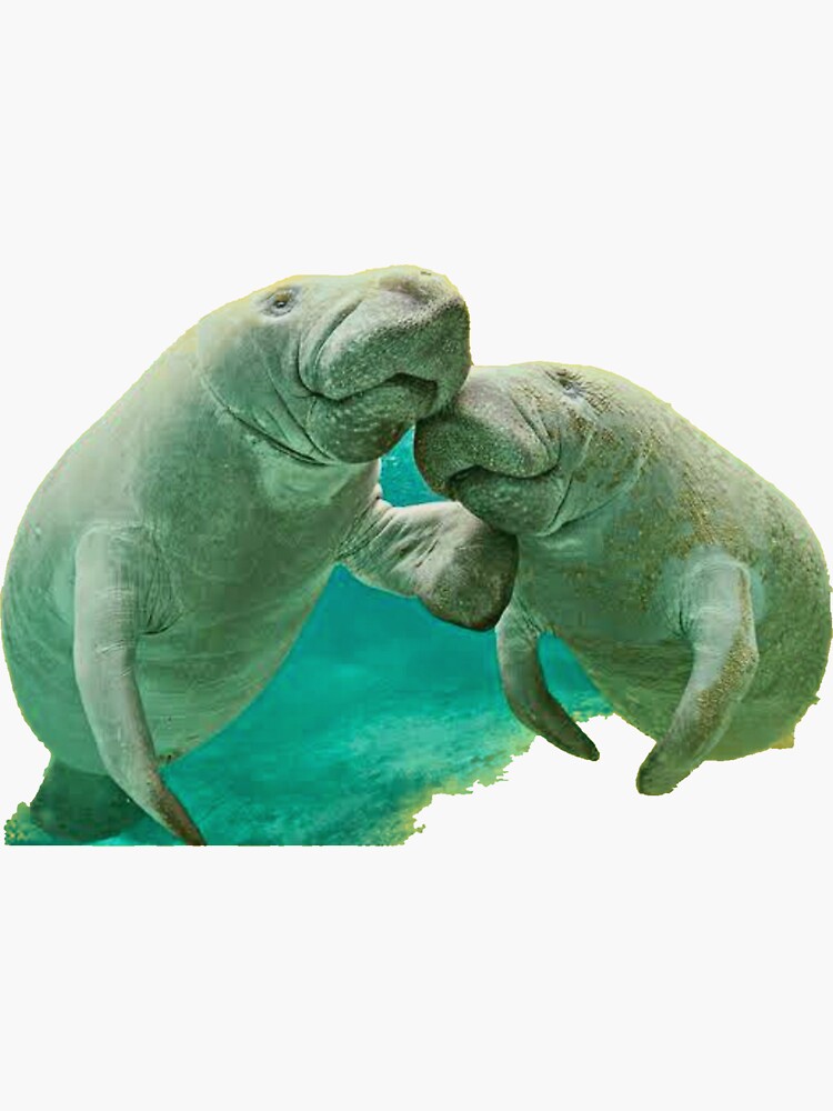 "Animal , Walid life , sea life " Sticker for Sale by SNK90 | Redbubble