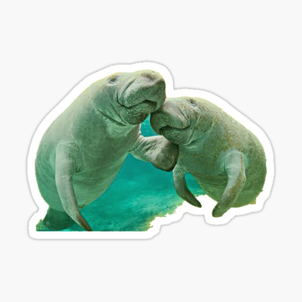 "Animal , Walid life , sea life " Sticker for Sale by SNK90 | Redbubble
