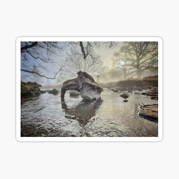 "Fallen Wood in a Stream" Sticker for Sale by 360Bubbles | Redbubble