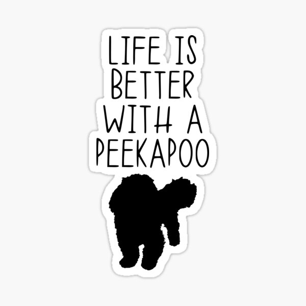Peekapoo Gifts & Merchandise for Sale | Redbubble