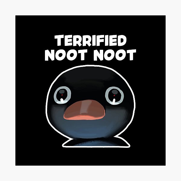  Terrified Noot Noot Pingu Meme Black BG Photographic Print For Sale 