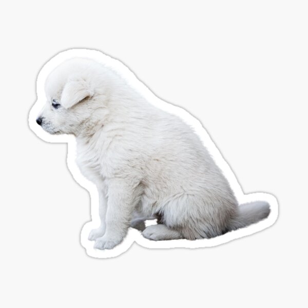 "Sad White Fluffy Dog" Sticker for Sale by Sephydoodles | Redbubble