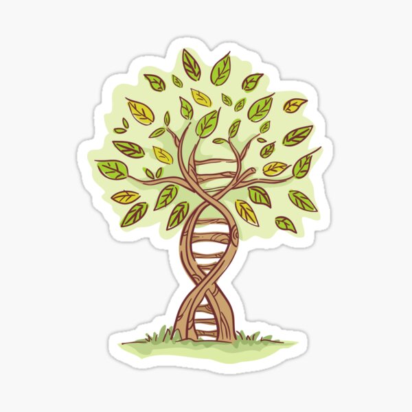 "Biology DNA tree" Sticker for Sale by Affint | Redbubble