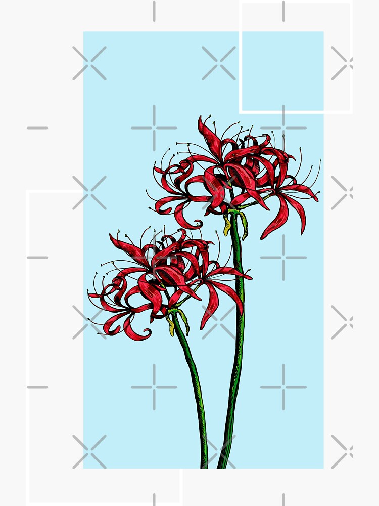 "Lycoris Recoil | Lycoris Flower" Sticker for Sale by LuciPer | Redbubble
